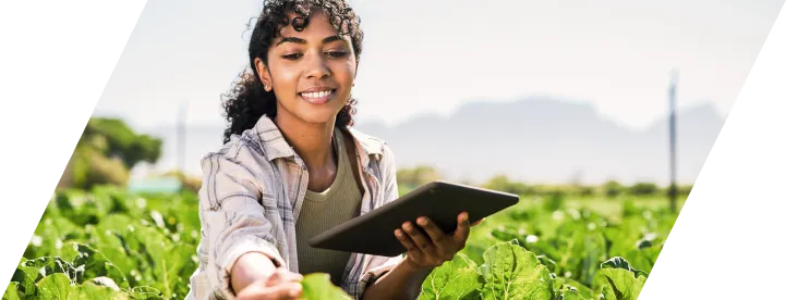 Netceed - Shaping the future of communications networks